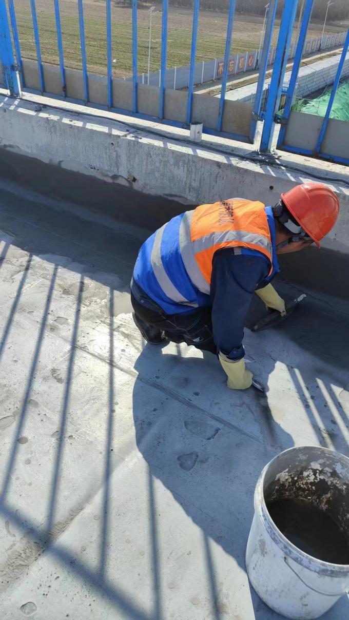 Plastic APP Modified Bitumen Waterproofing Membrane 3mm 4mm 5mm Thickness